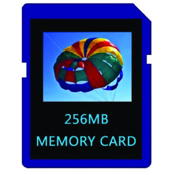 Shop Page - Everything But Stromboli