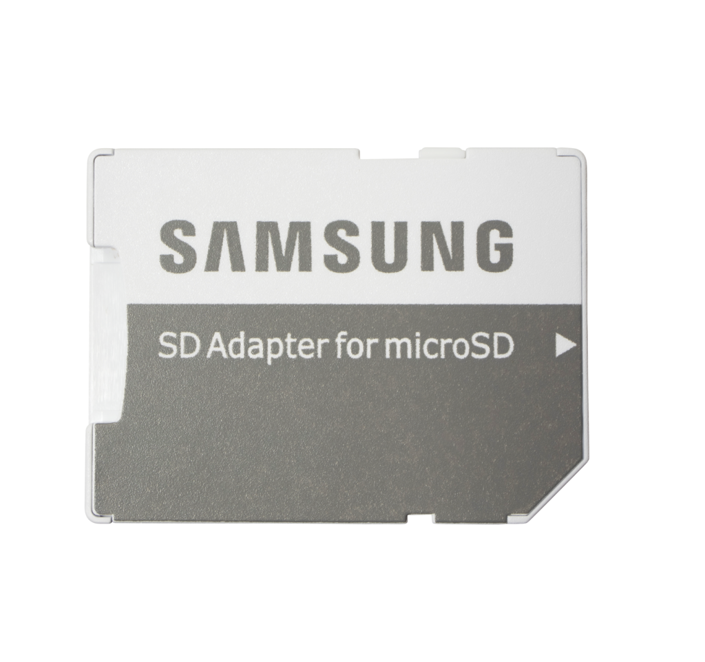 Micro SD To SD Adapter Everything But Stromboli